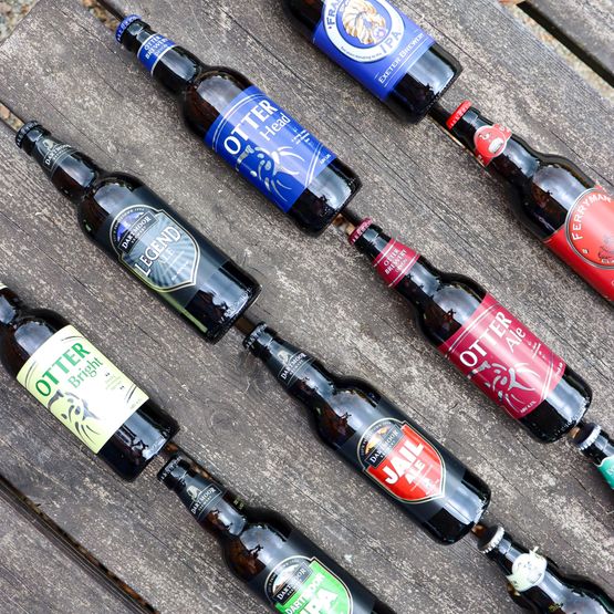Devon Dozen Ales Hamper | 12 Real Ales | Otter Exeter Bays Brewery Gift